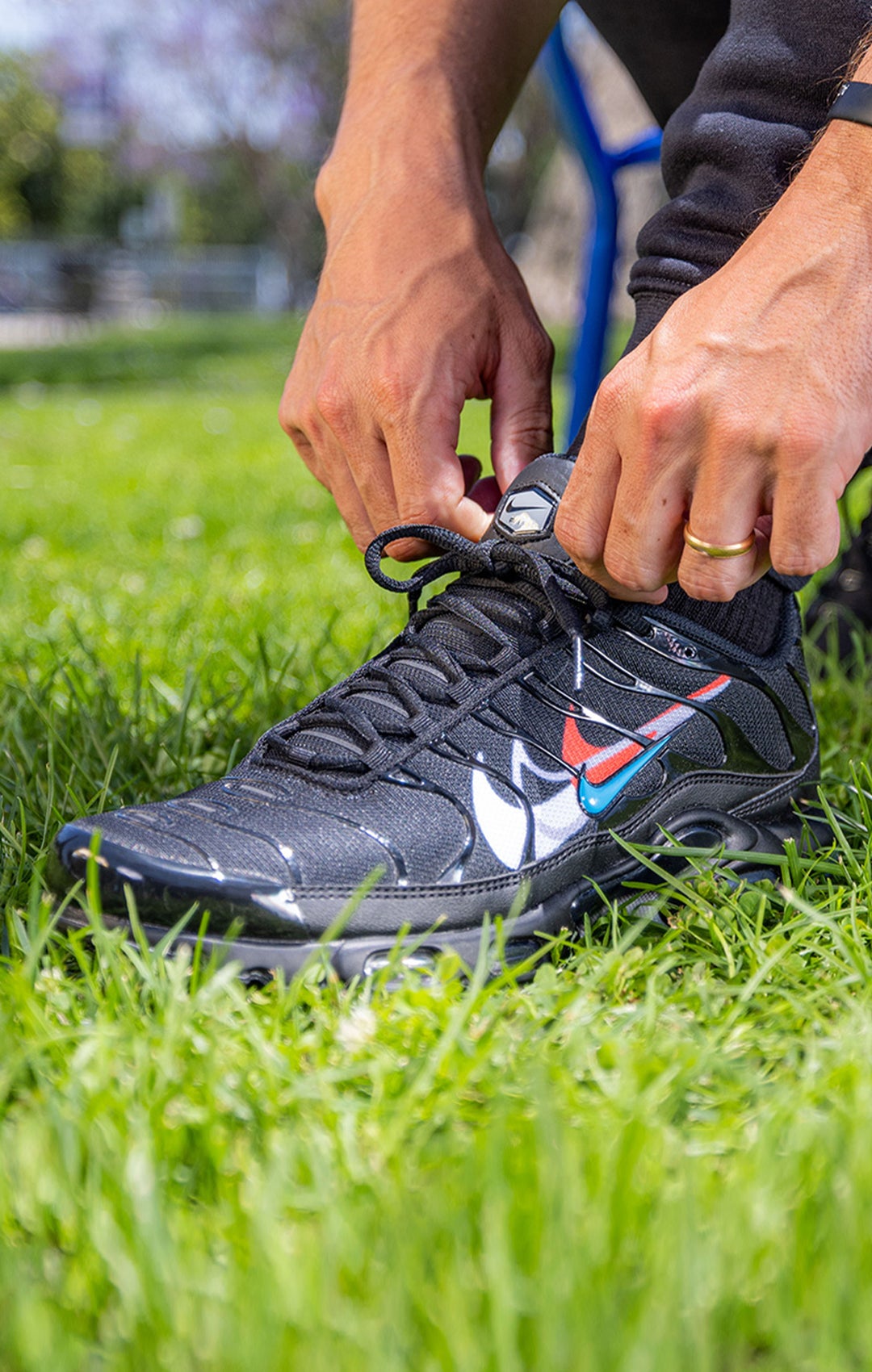 Sneaker Essentials | Champs Sports