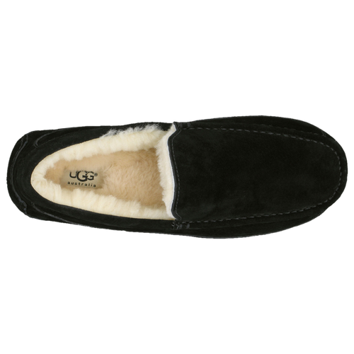 UGG Ascot | Foot Locker UGG Ascot | Foot Locker